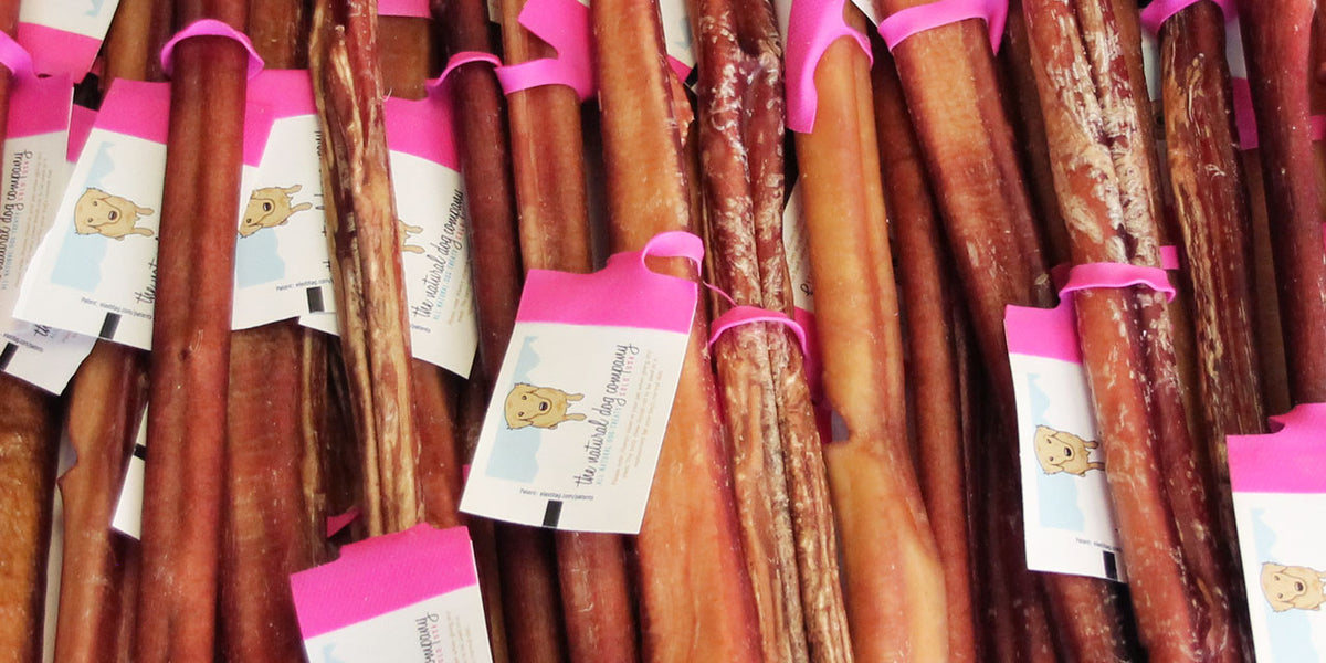 Everything you Ever Wanted To Know About Bully Sticks — WHOLESALE ...