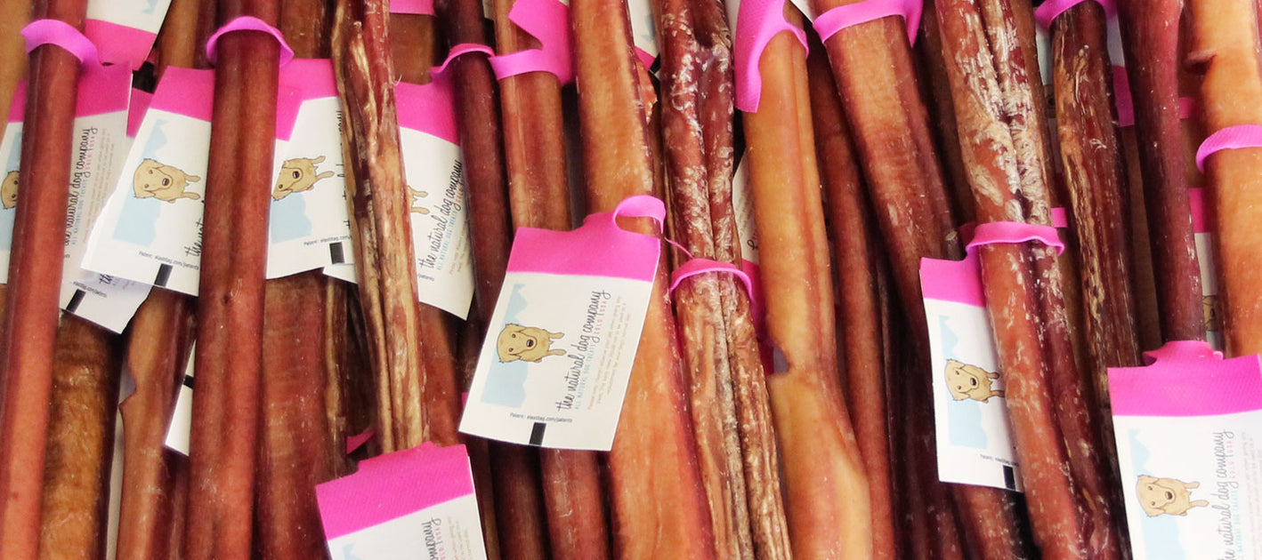 Everything you Ever Wanted To Know About Bully Sticks — WHOLESALE ...