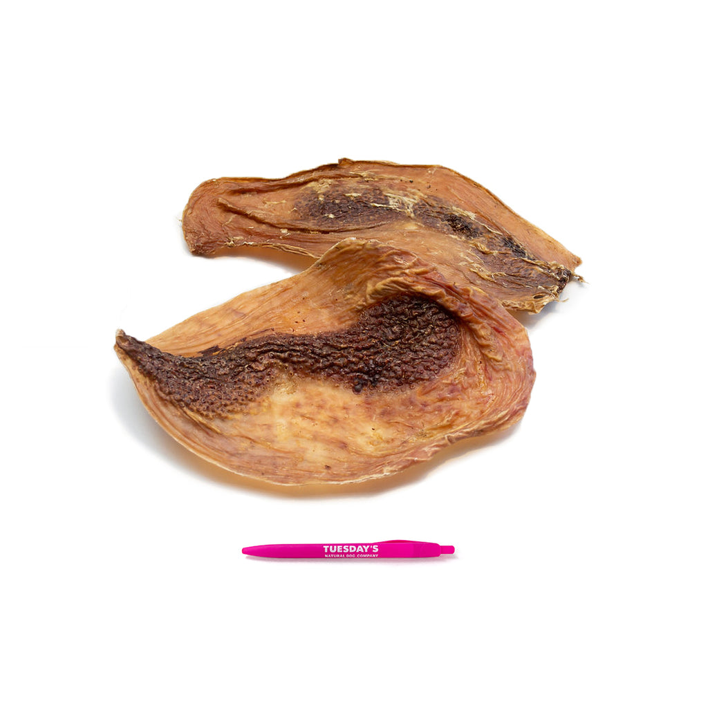 Ostrich — WHOLESALE - Tuesday's Natural Dog Company