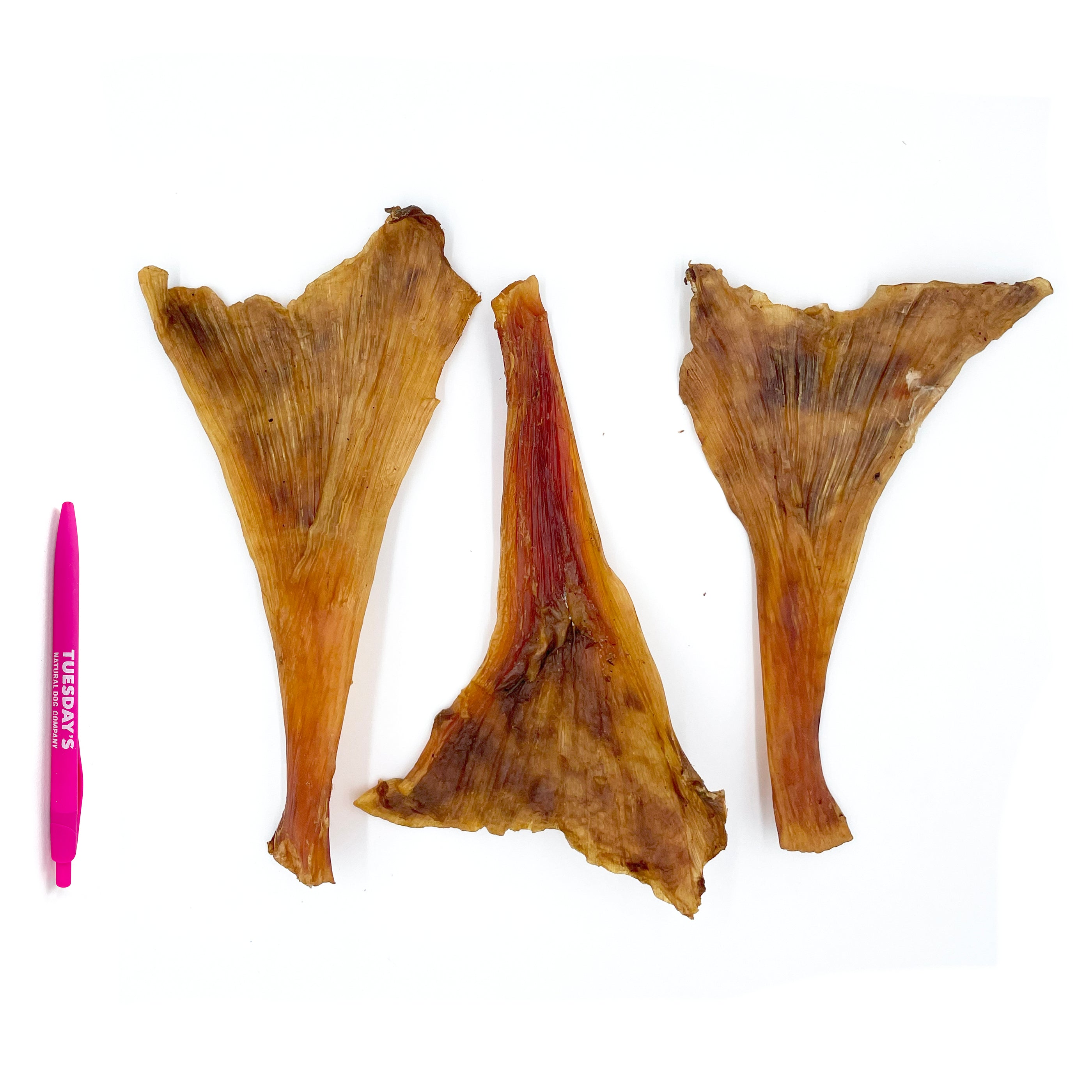 Ostrich Long Tendons - 4 oz — WHOLESALE - Tuesday's Natural Dog Company