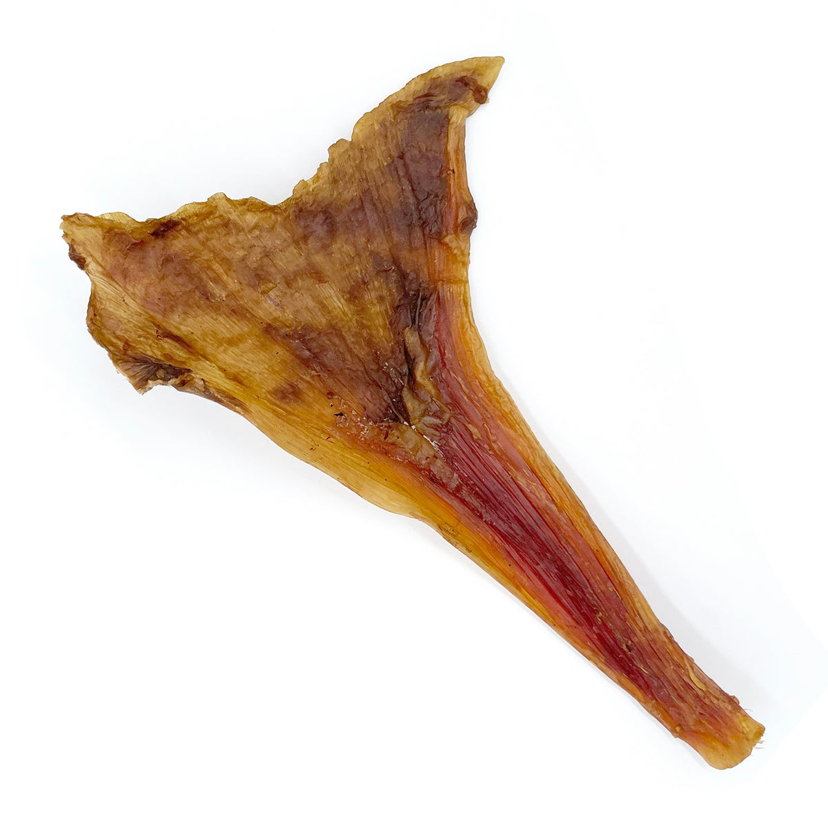 Ostrich Long Tendons - 4 oz — WHOLESALE - Tuesday's Natural Dog Company