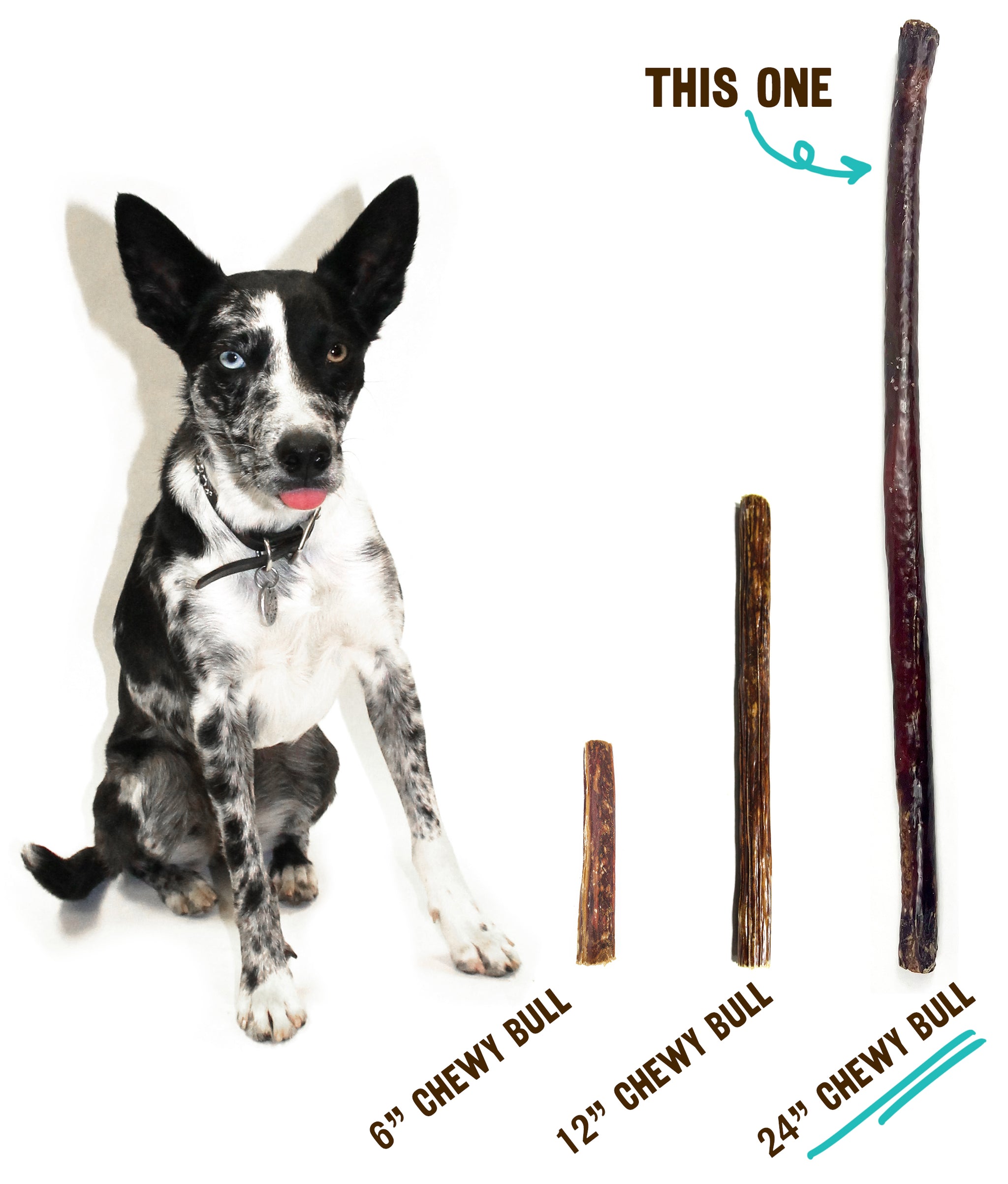 Dogs Need To Chew. We Make It Natural. — WHOLESALE - Tuesday's Natural ...