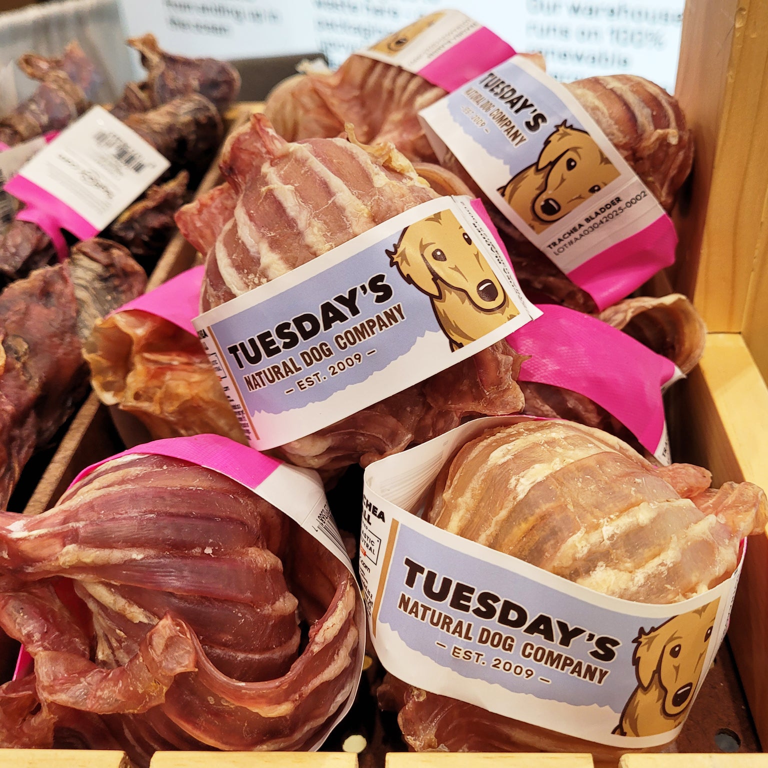 Dogs Need To Chew. We Make It Natural. — WHOLESALE - Tuesday's Natural ...